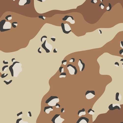 Patrones De Camuflaje Desértico - Guía Y Equipo Táctico